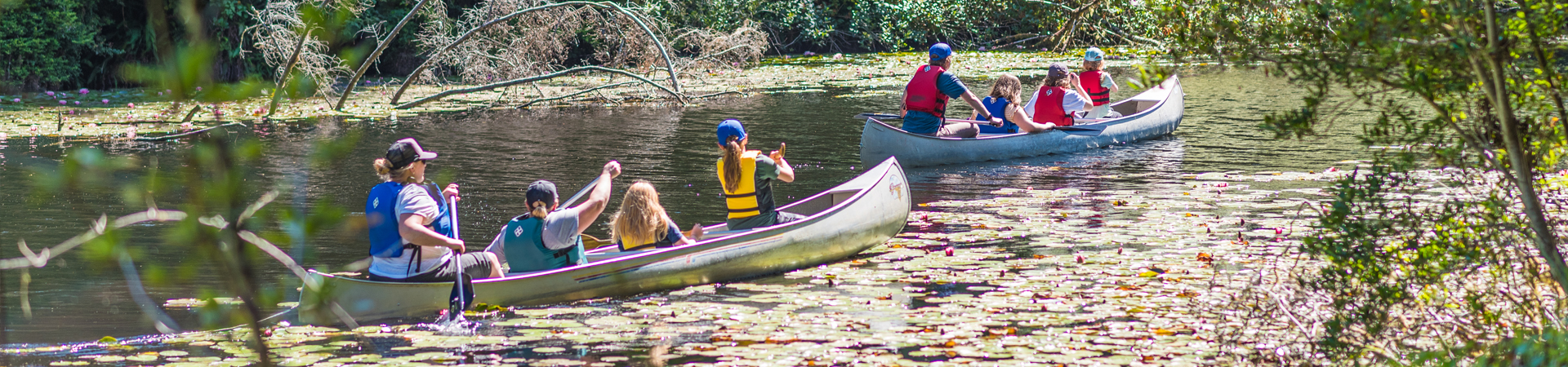 Overnight Camp | Girl Scouts of Oregon and SW Washington